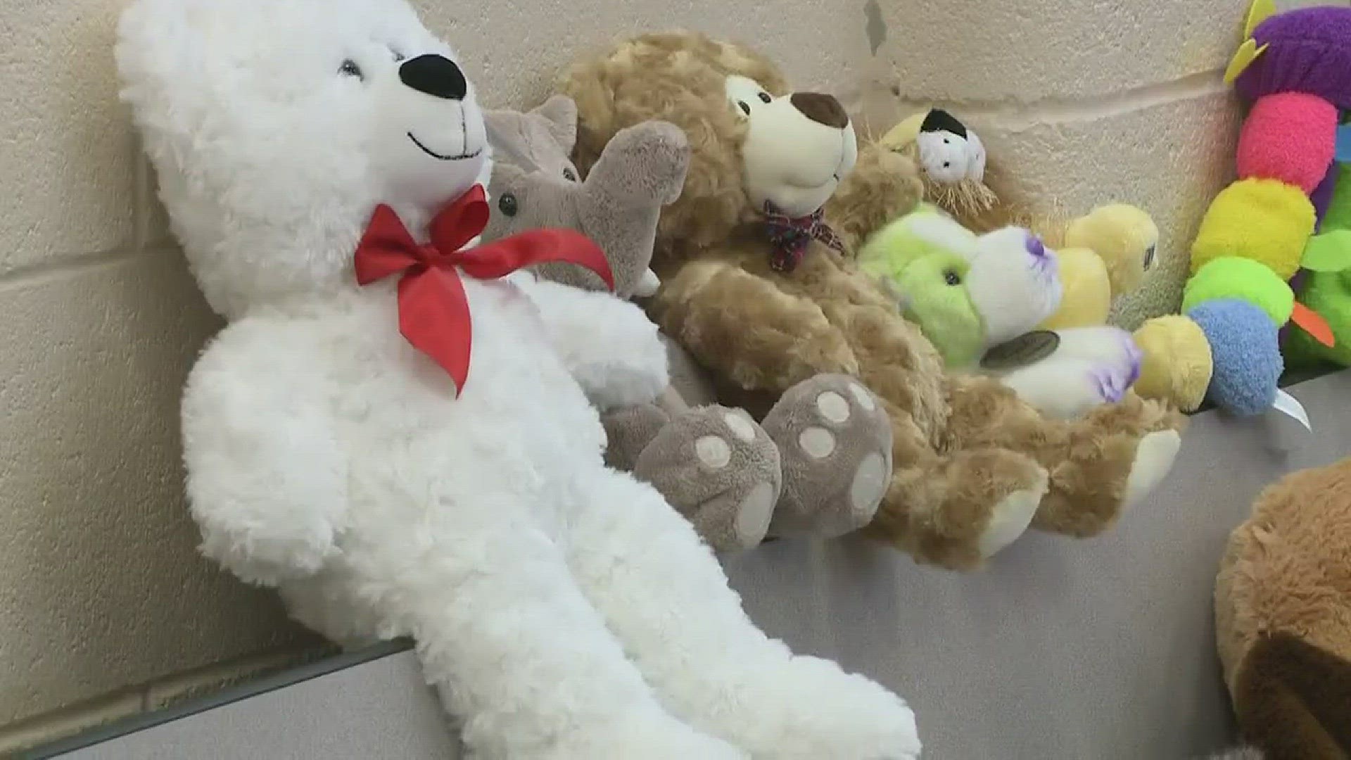 Distressed Teddy Bears