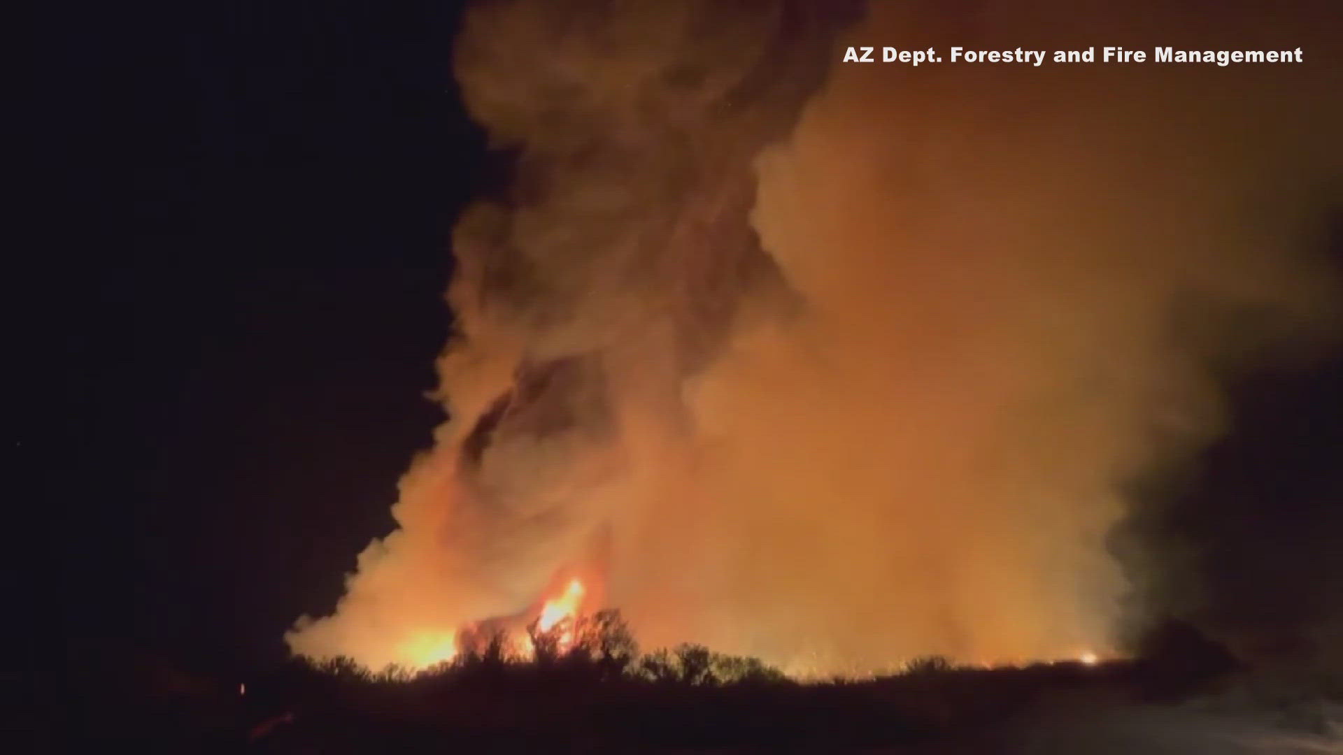 Wildfire near Alpine, Arizona, prompts SET evacuation status | 12news.com