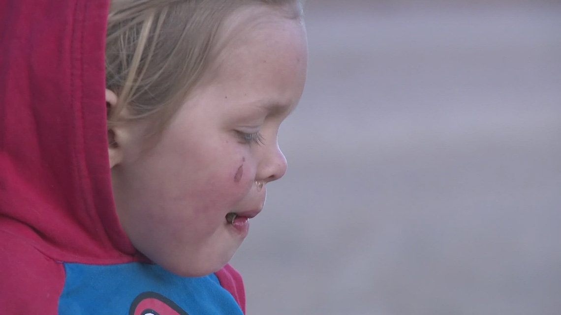 Parents of missing toddler found by dog say a 'miracle' saved their son ...