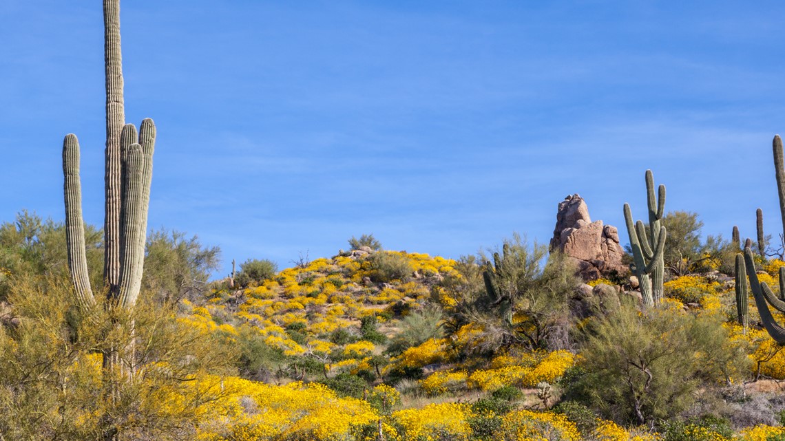 Here's why springtime in Arizona is awesome, according to the internet ...