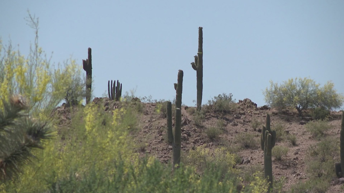 Feds gut AC relief program that serves thousands of Arizonans | 12news.com
