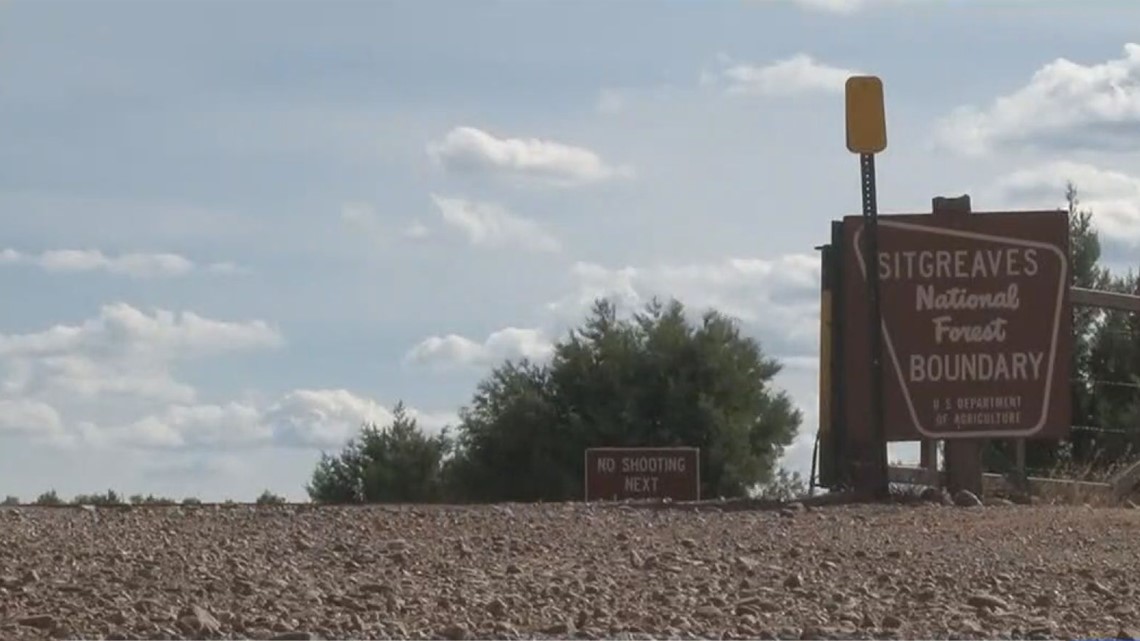 Forest officials seek information on deaths of 4 wild horses in Arizona ...