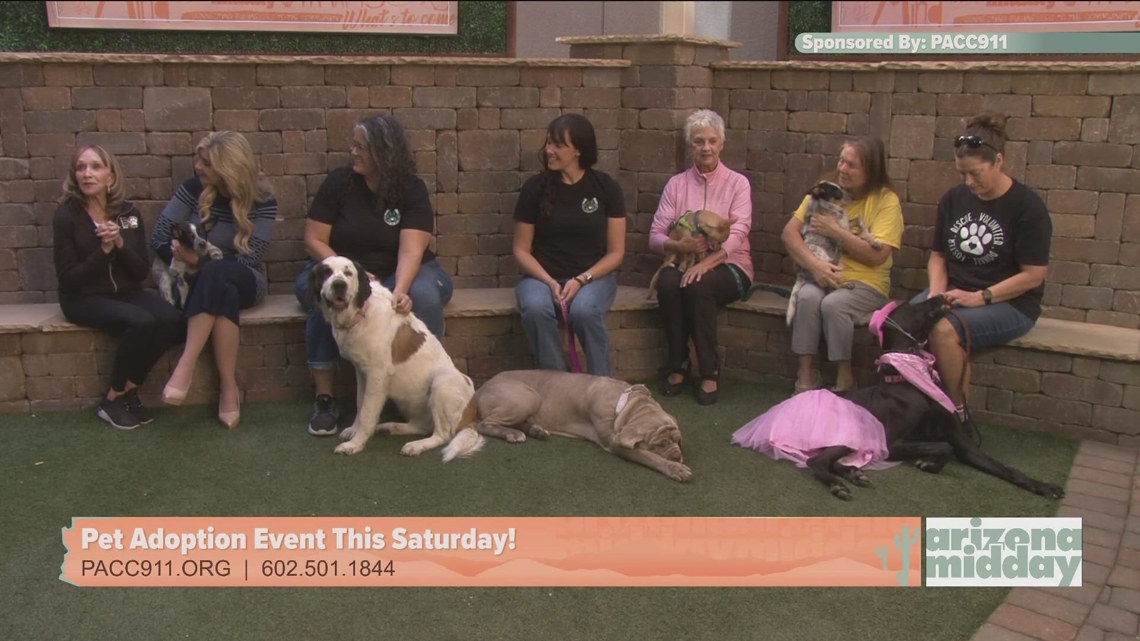 Sponsored: Pet adoption event this Saturday | 12news.com