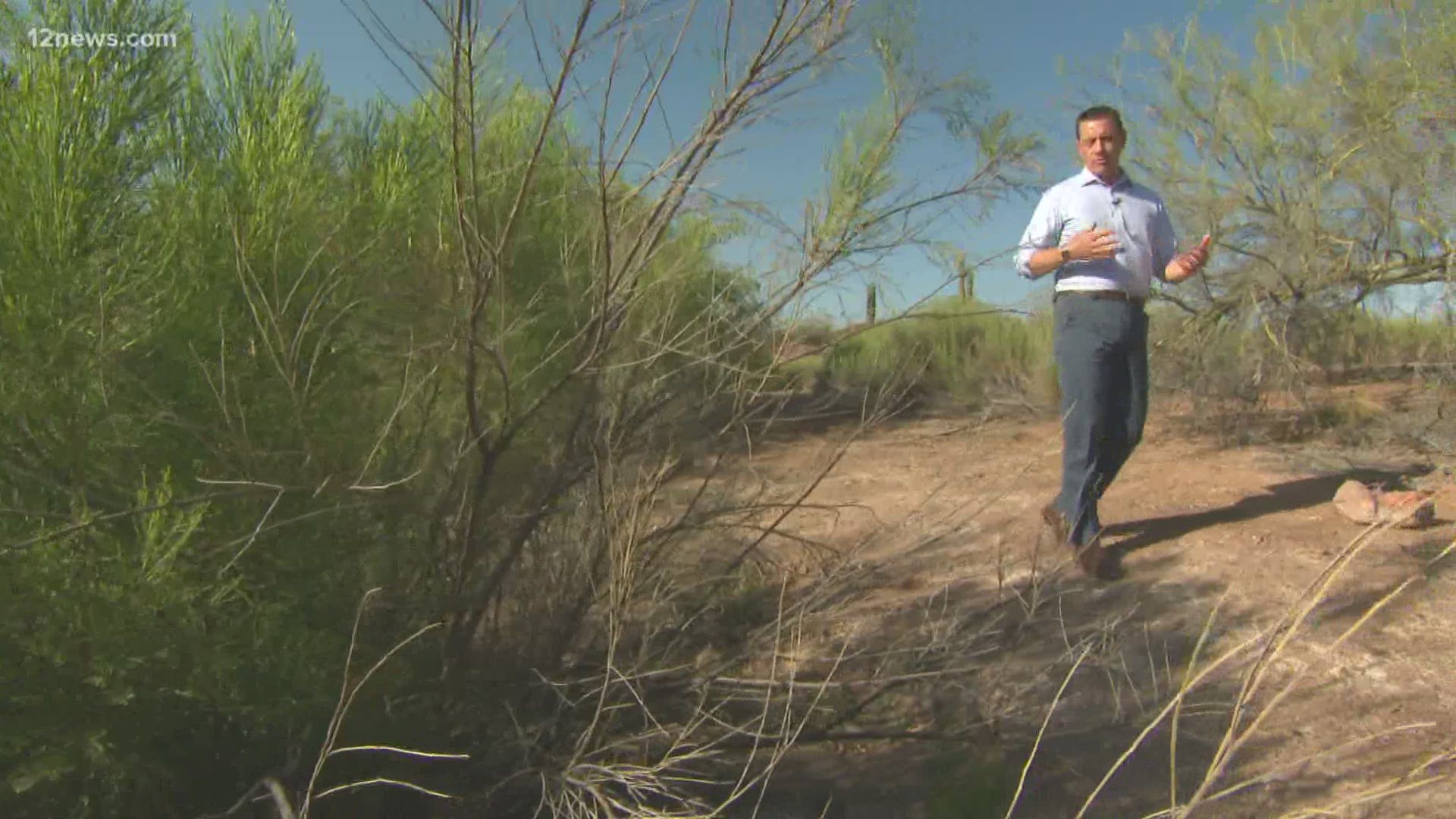What causes the sweet smell of rain after an Arizona storm? | 12news.com