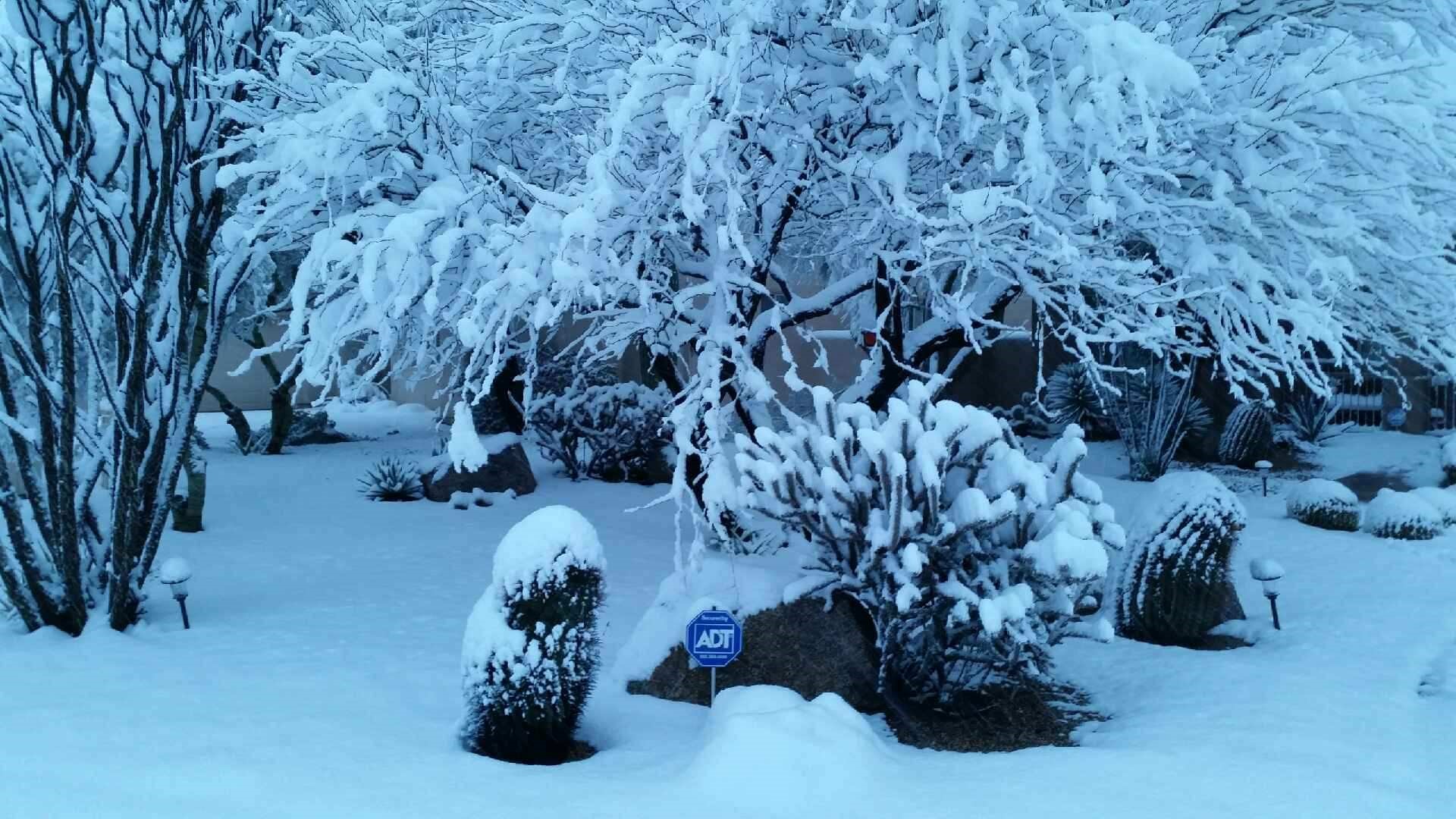 PHOTOS: Arizona's massive winter storm drops snow on Scottsdale ...