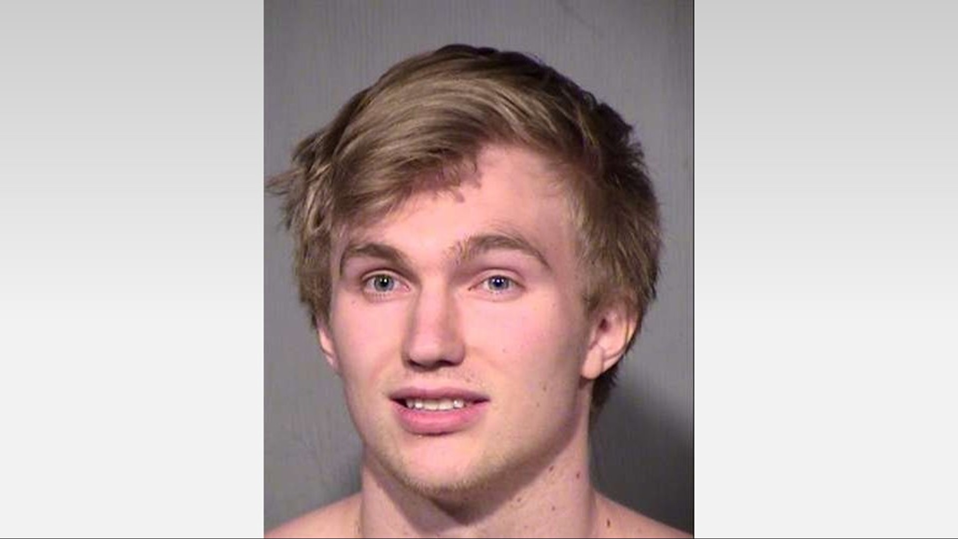 Shirtless fan arrested after running on field during D-backs season ...