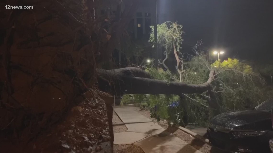 Property damage reported after monsoon storm rolls through Phoenix area | 12news.com