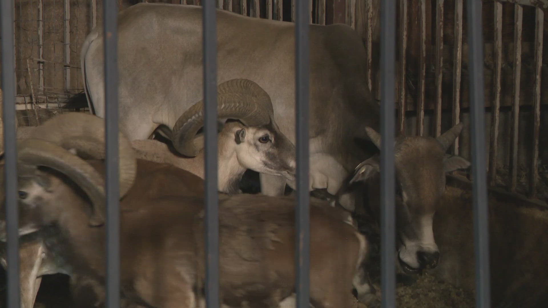 Arizona Congressman Andy Biggs' daughter dies after battling cancer ...