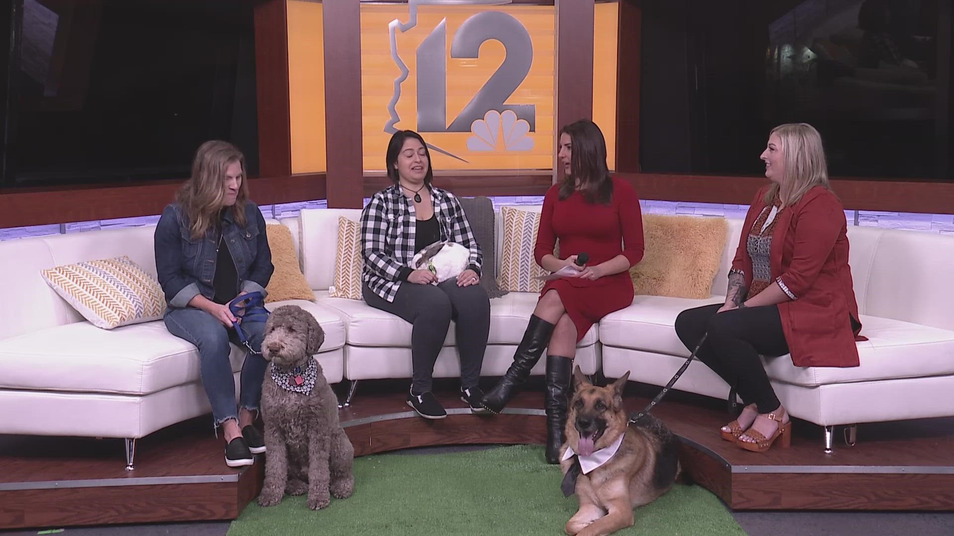 Today in AZ announces winners for the Cutest Pet in AZ contest | 12news.com