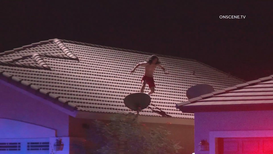 Man flees across rooftops from Phoenix police | 12news.com