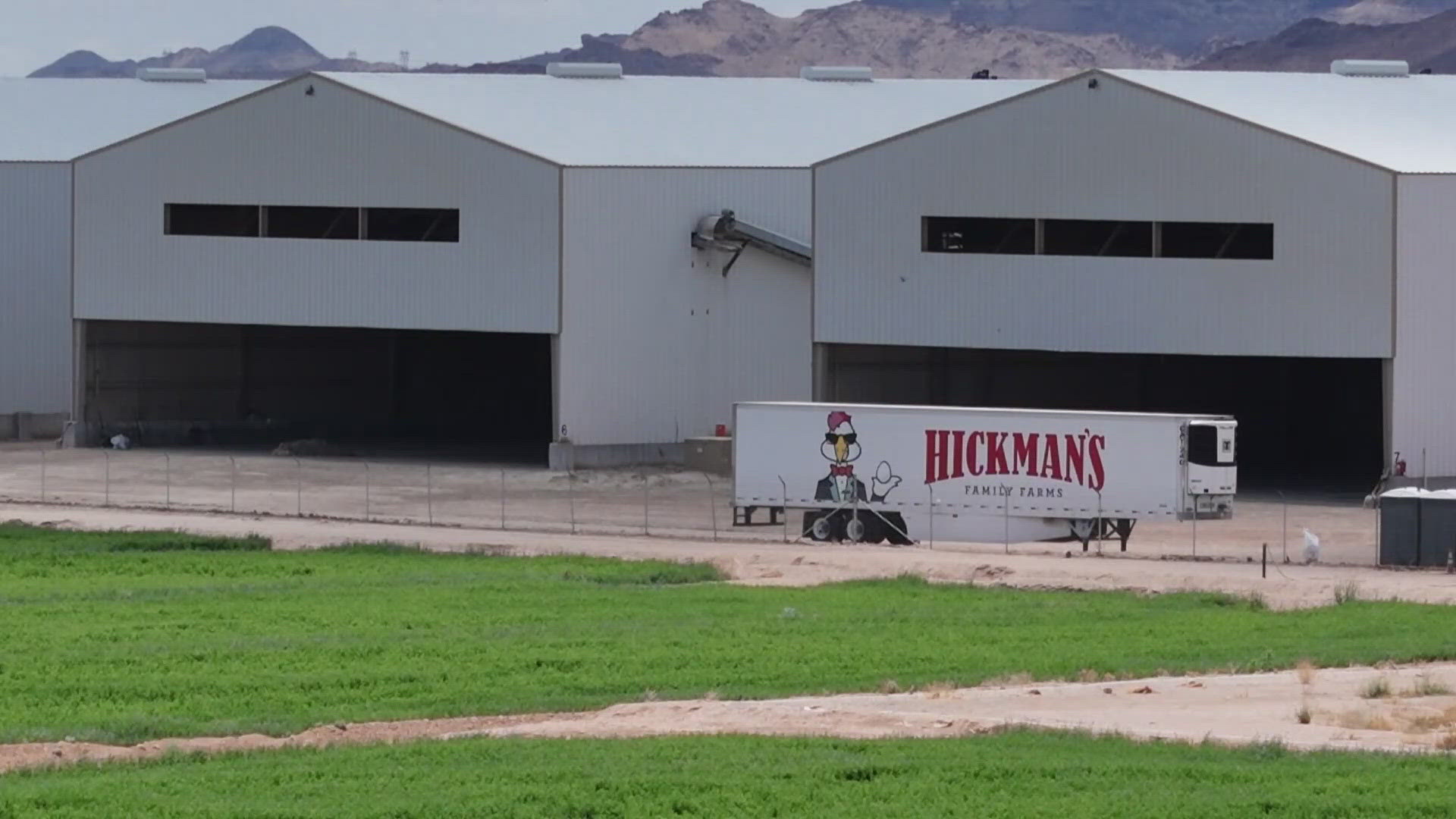 Hickman's Family Farms layoffs: 85 jobs cut after bird flu outbreak ...