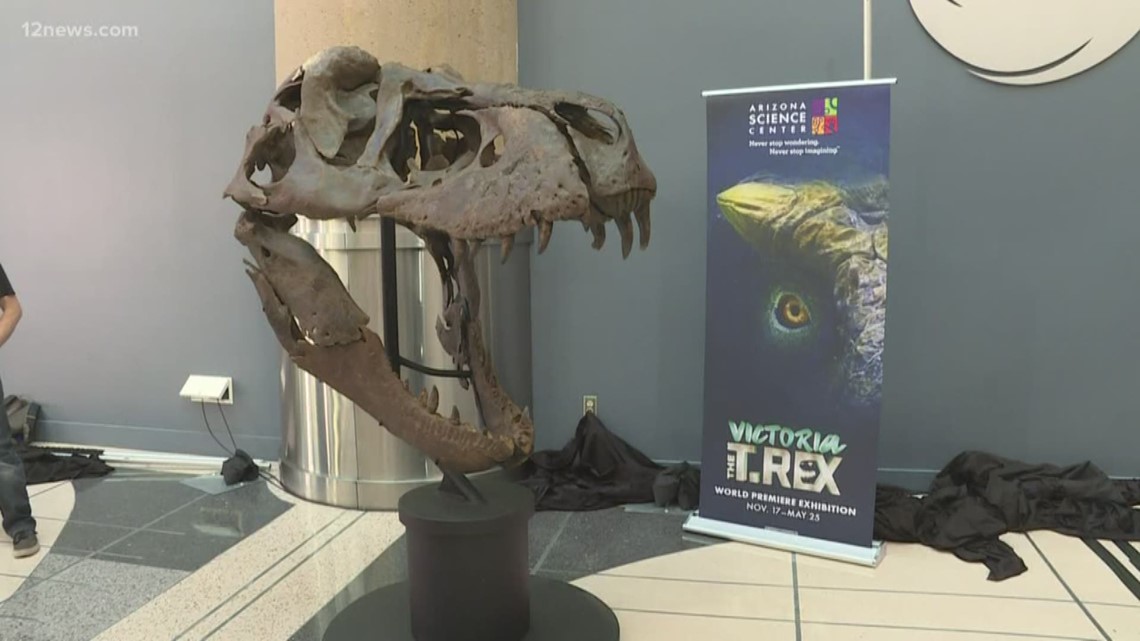 Victoria the T-Rex arrives in Phoenix | 12news.com