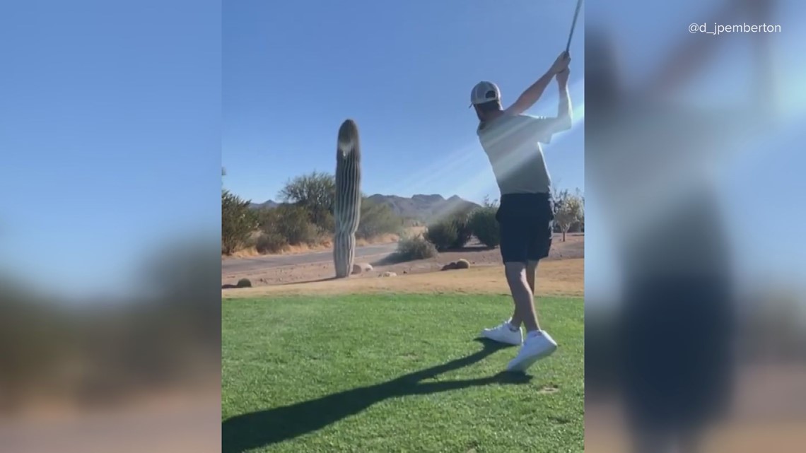Viral video shows golfer driving ball into a saguaro cactus at Arizona ...