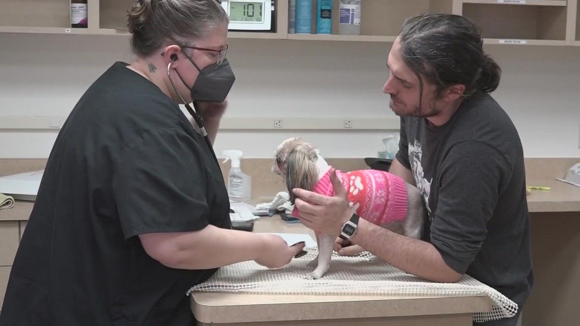 Valley vet finds a way to offer more affordable pet surgeries | 12news.com