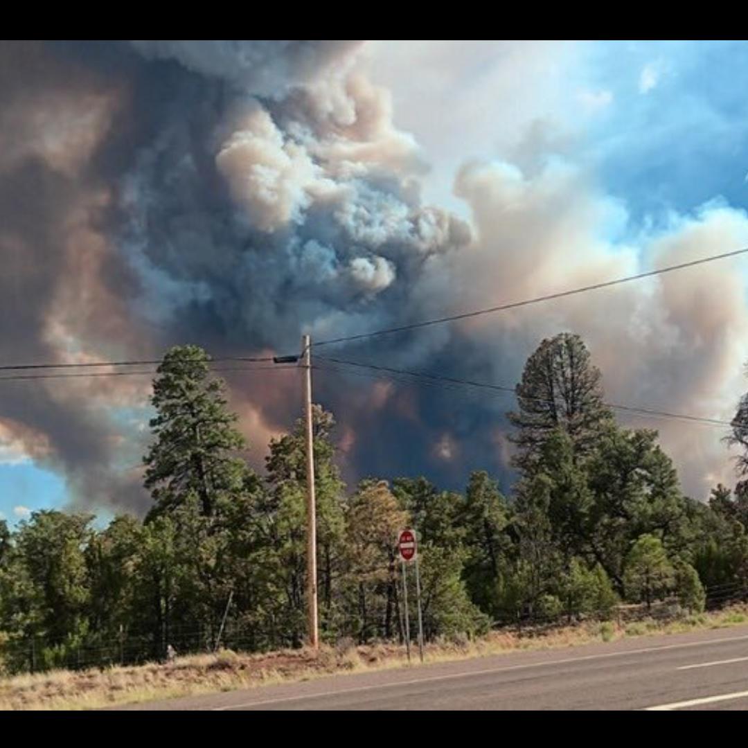Arizona fire officials battle Oak Ridge Fire | 12news.com