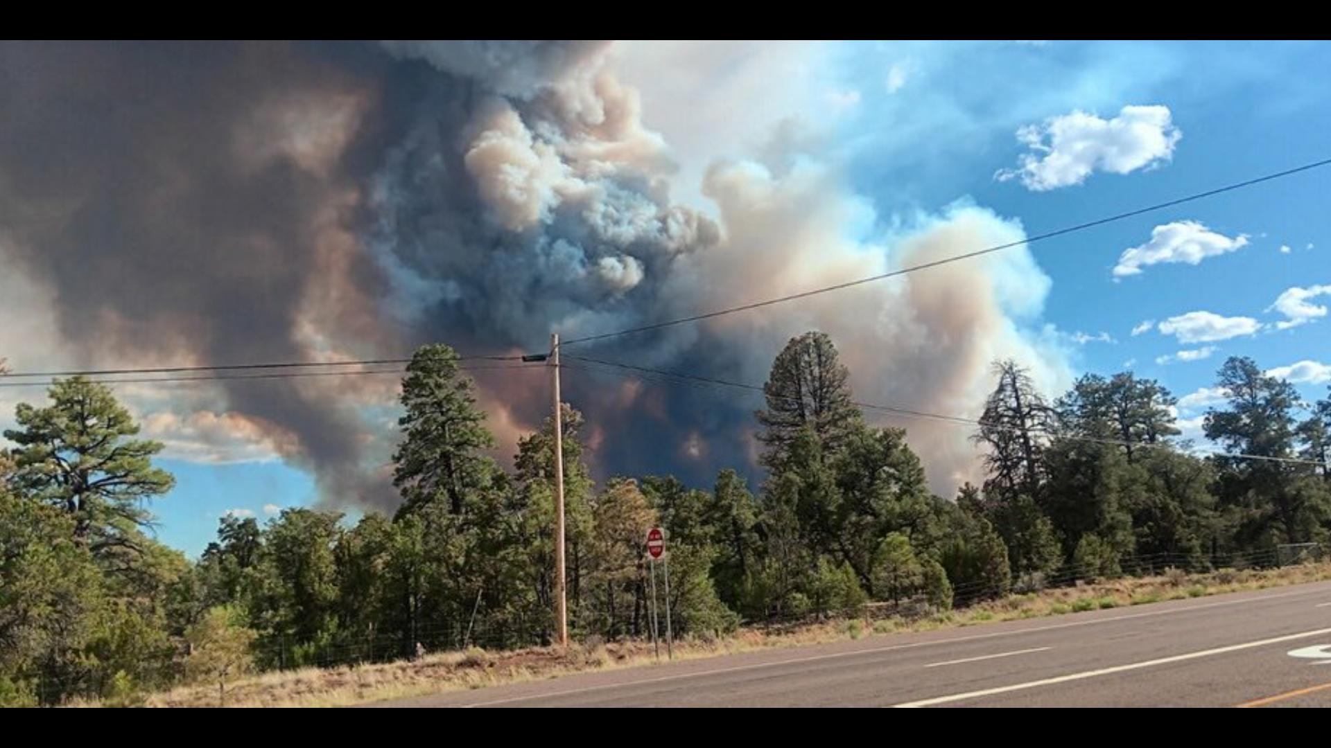 Oak Ridge fire burns 200+ acres near Arizona-New Mexico border | 12news.com