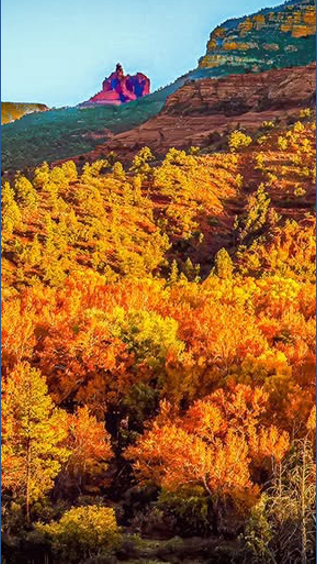 Discover Arizona's stunning fall foliage drives | 12news.com