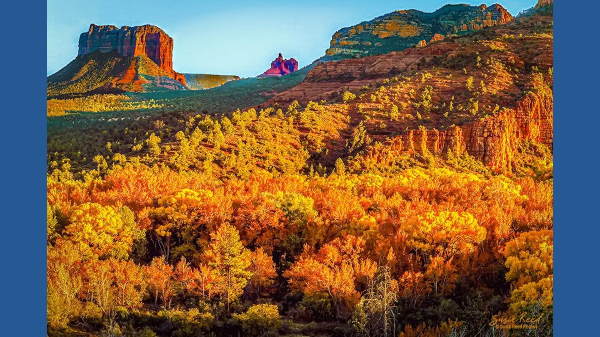 Discover Arizona's stunning fall foliage drives | 12news.com
