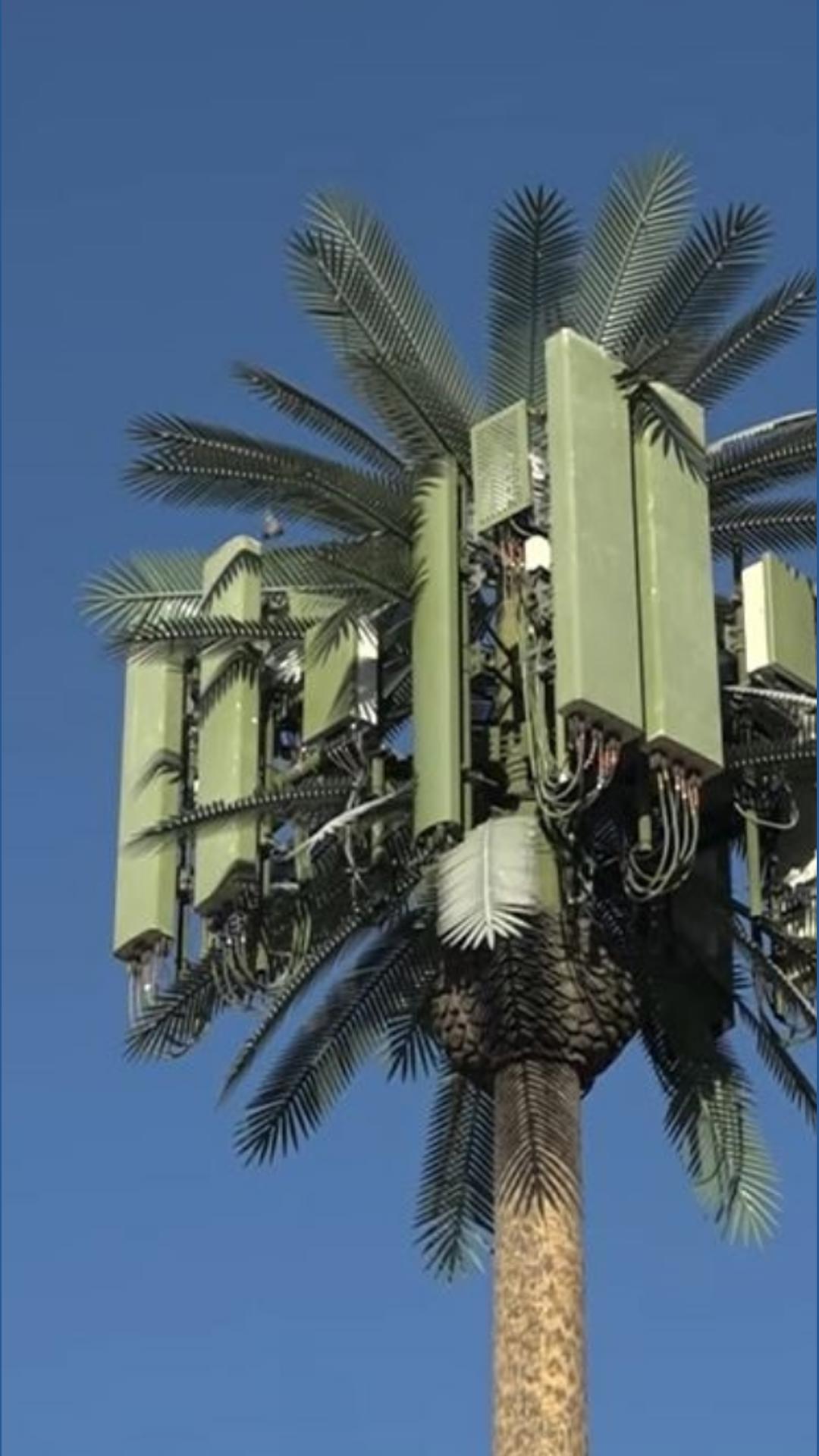 Cell phone tower burglaries results in arrest of Buckeye man | 12news.com