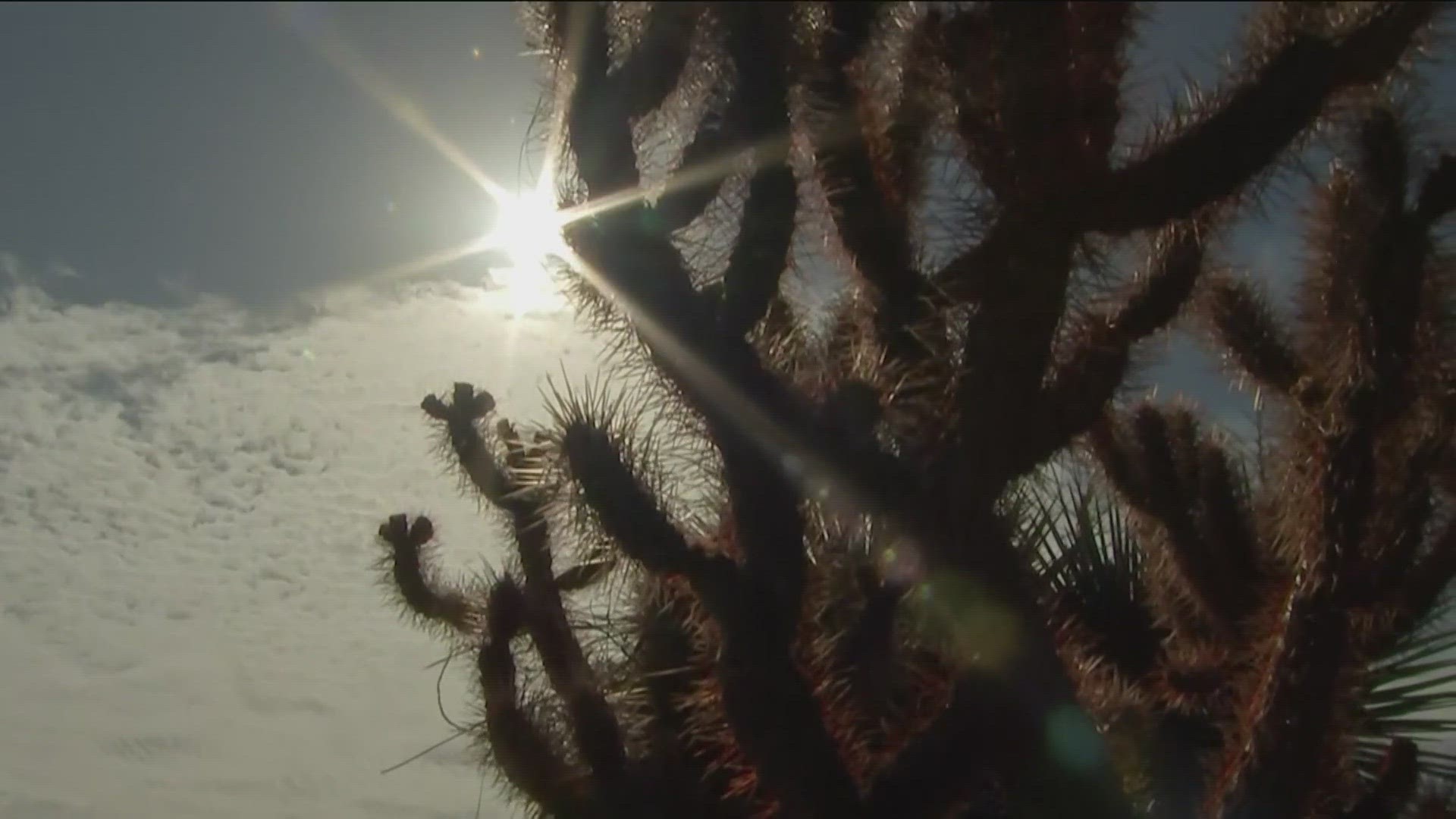 Extreme heat is back in Phoenix for the weekend | 12news.com
