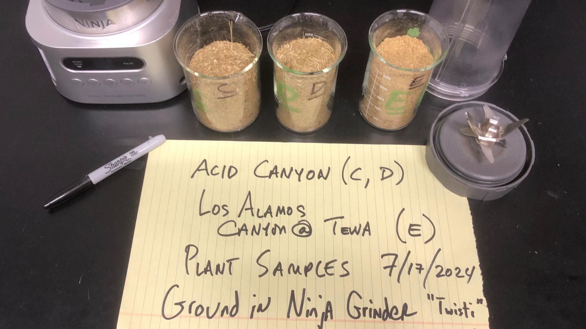 Arizona scholar finds high plutonium contamination in Acid Canyon ...