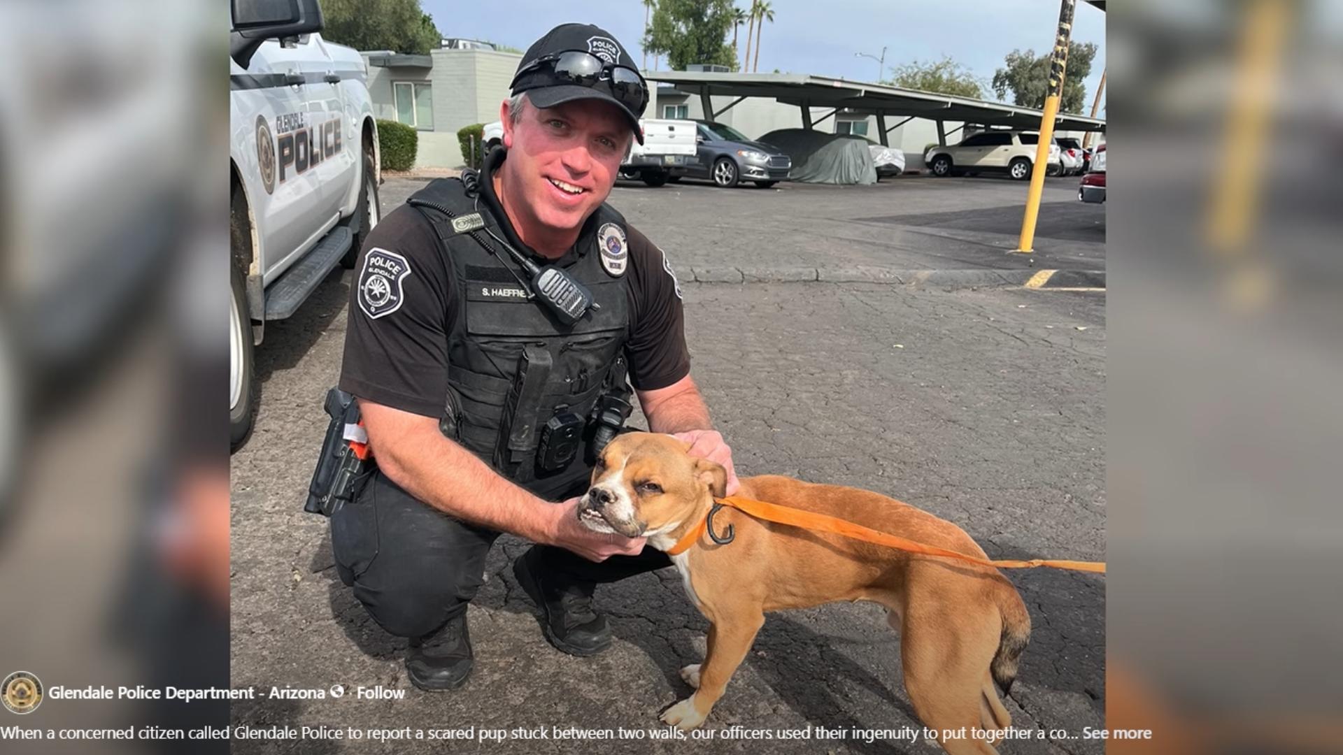 A puppy was stuck between two walls in Glendale. Here's how police ...