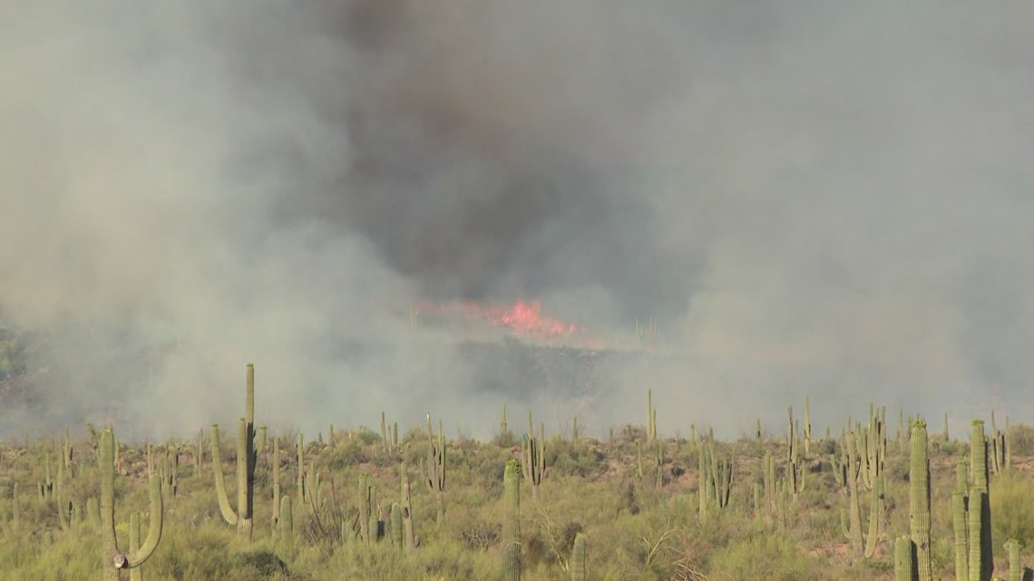 Crews battling Wildcat Fire, which has burned 500 acres in Arizona ...