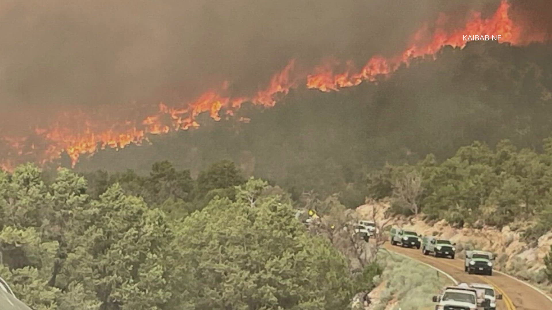 Wildfires | 12news.com