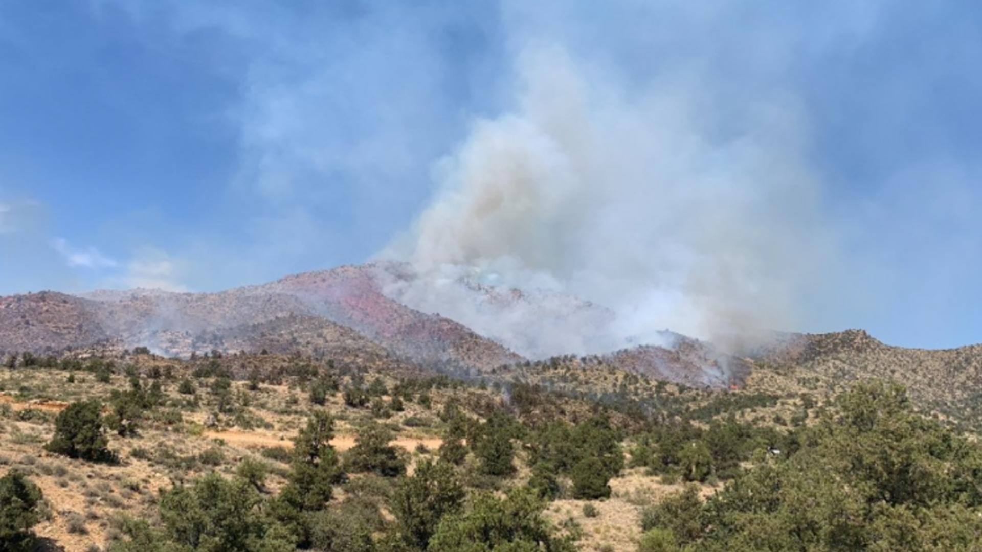 The Peacock Fire reaches 100 acres, officials say | 12news.com