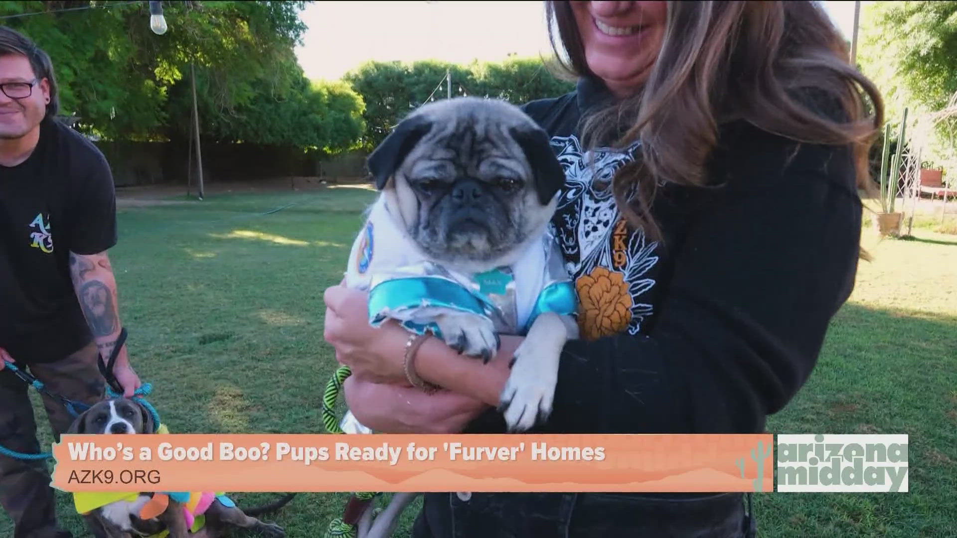 Who's a good boo? Pups ready for furever homes | 12news.com