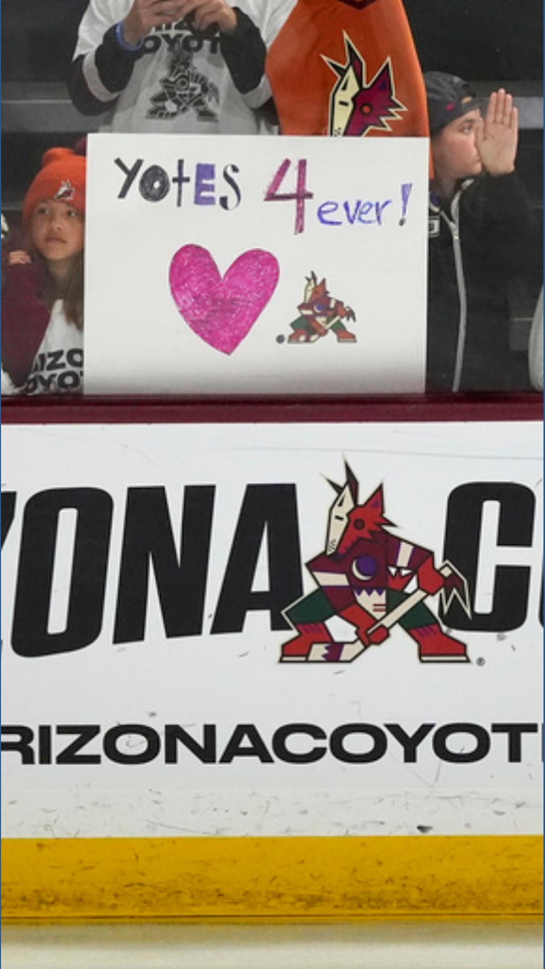 Shane Doan's spouse spearheads effort to bring hockey back to Arizona ...