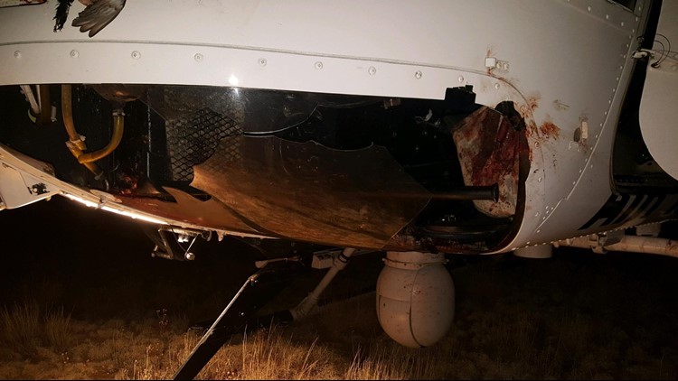 DPS helicopter 'crippled' in midair collision with flock of birds ...