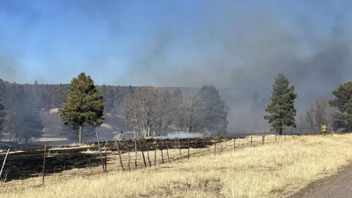 Wildfire near Alpine, Arizona, prompts SET evacuation status | 12news.com