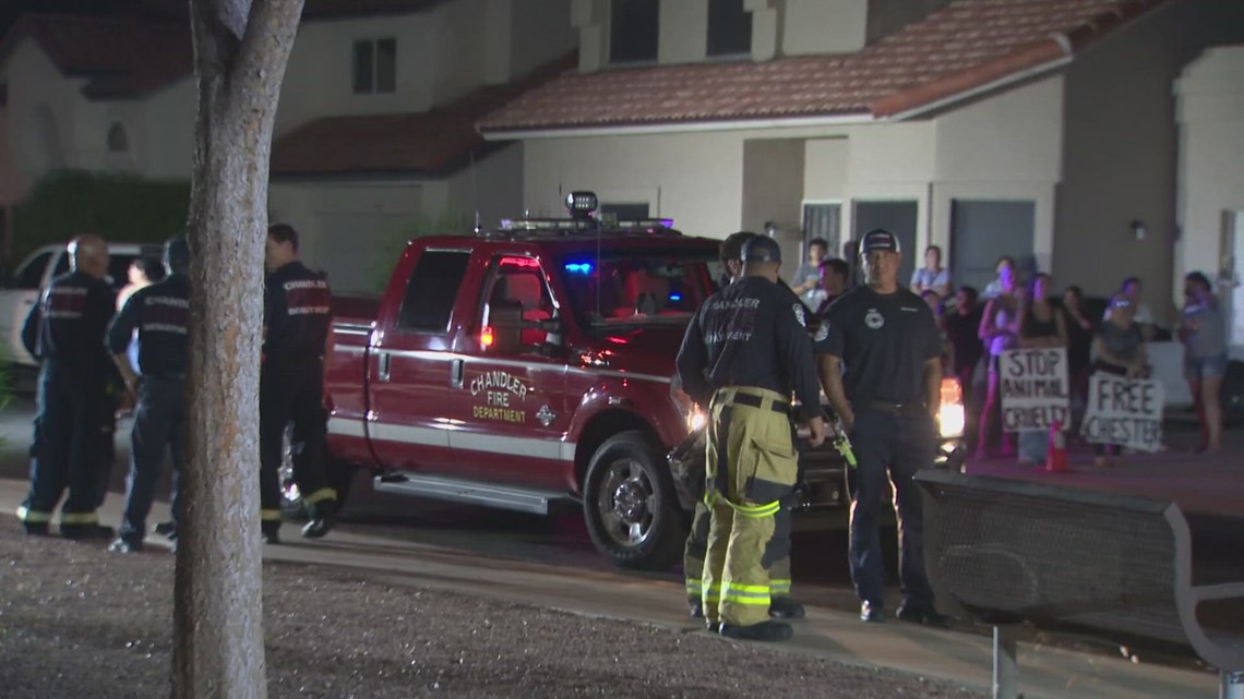 Chandler police seize 55 dogs from April McLaughlin’s home | 12news.com