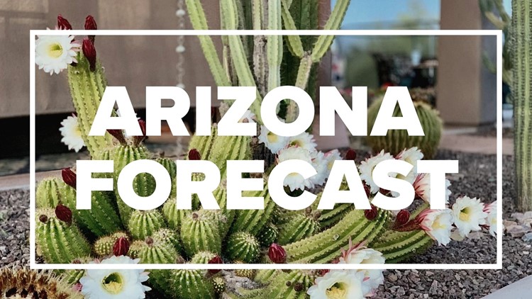 Meet the 12 NEWS Team | Phoenix, AZ | 12news.com