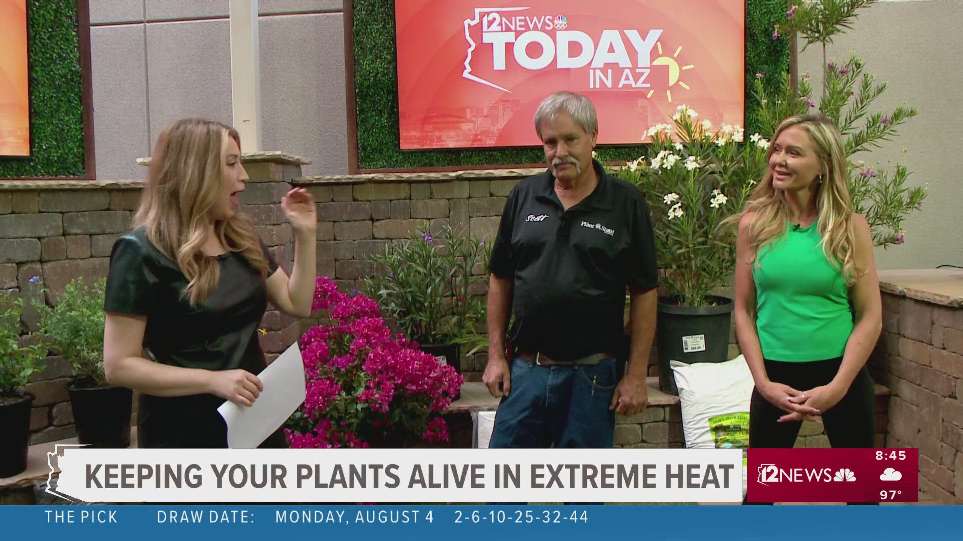 Keeping your plants alive in extreme heat during Arizona summers ...