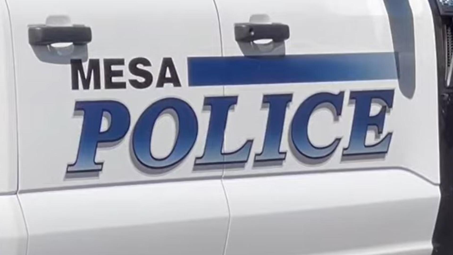 Mesa teen shot in domestic incident, police say | 12news.com