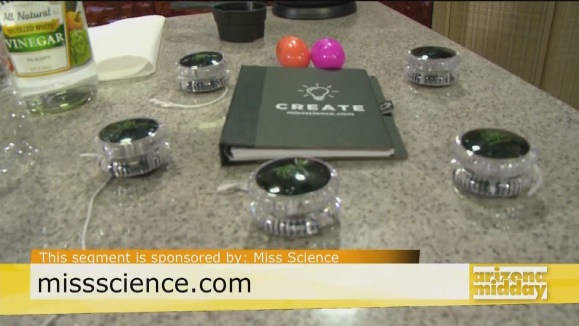 Turn Your Milk into Plastic with Miss Science! | 12news.com