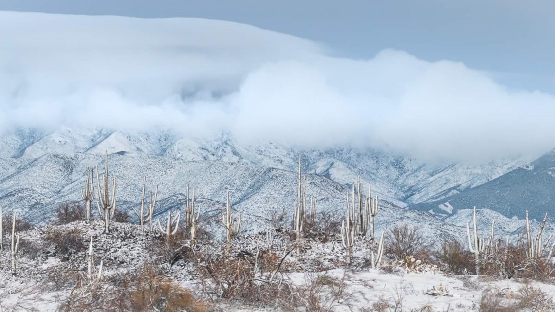Arizona's High Country is in a snow globe, Mother Nature keeps shaking ...