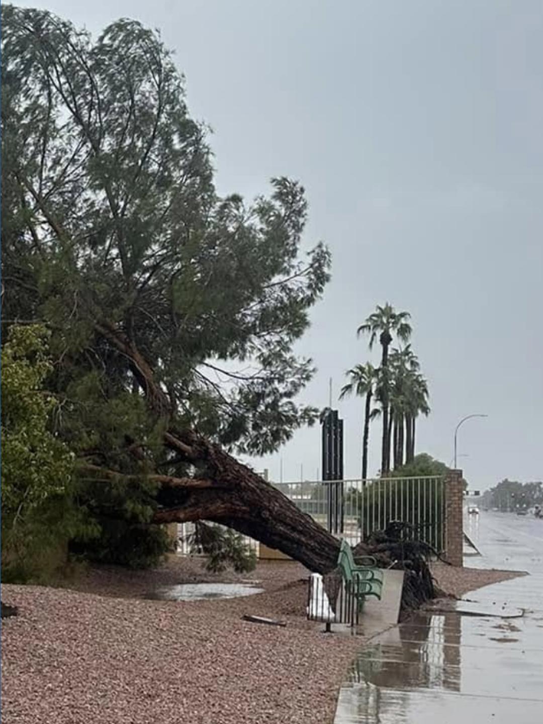 Power outages reported after Monday storms in Phoenix area | 12news.com