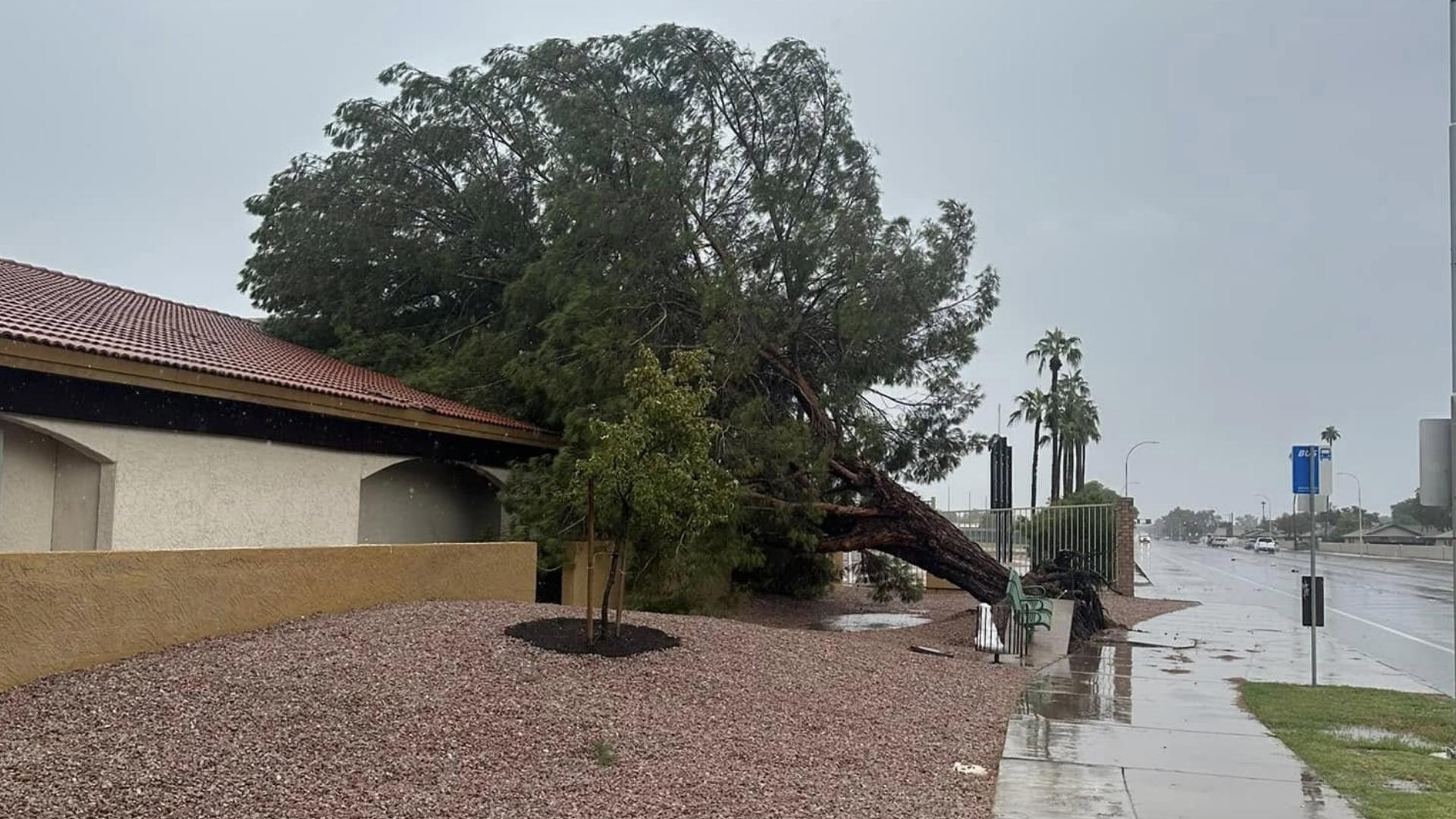 Power outages reported after Monday storms in Phoenix area | 12news.com
