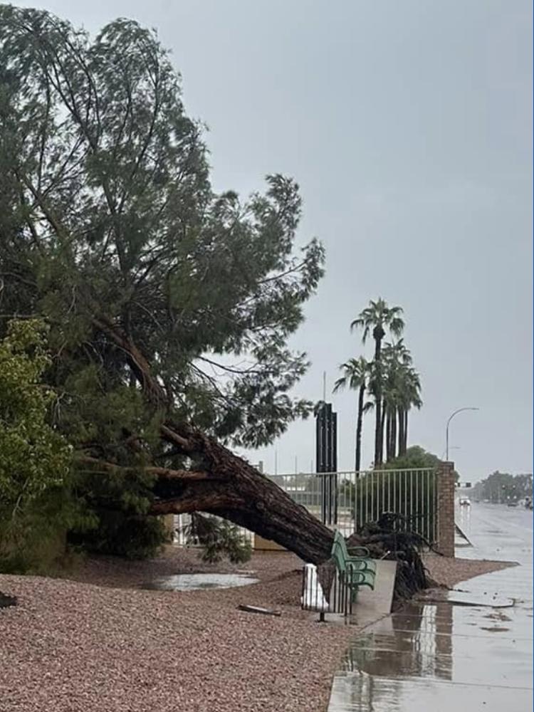 Power outages reported after Monday storms in Phoenix area | 12news.com
