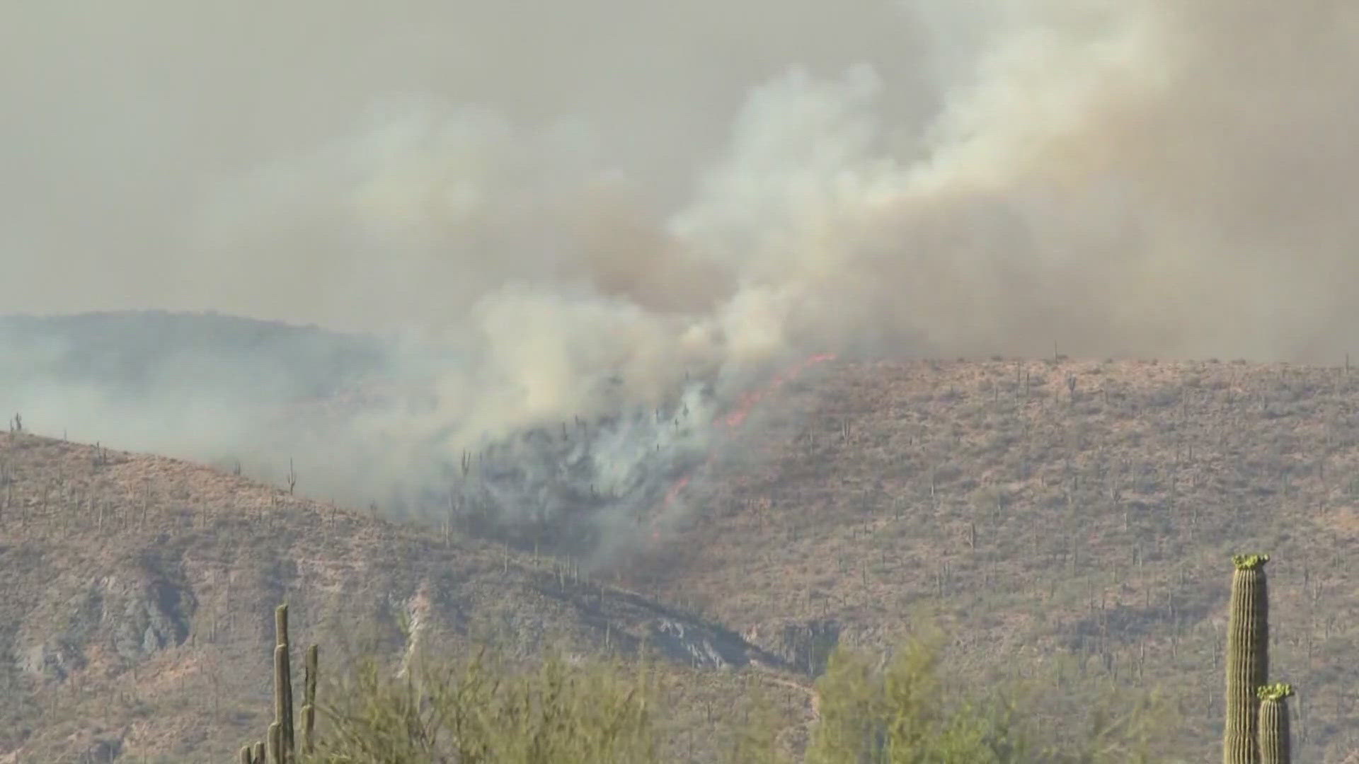 Wildcat Fire continues to burn in the Tonto National Forest | 12news.com