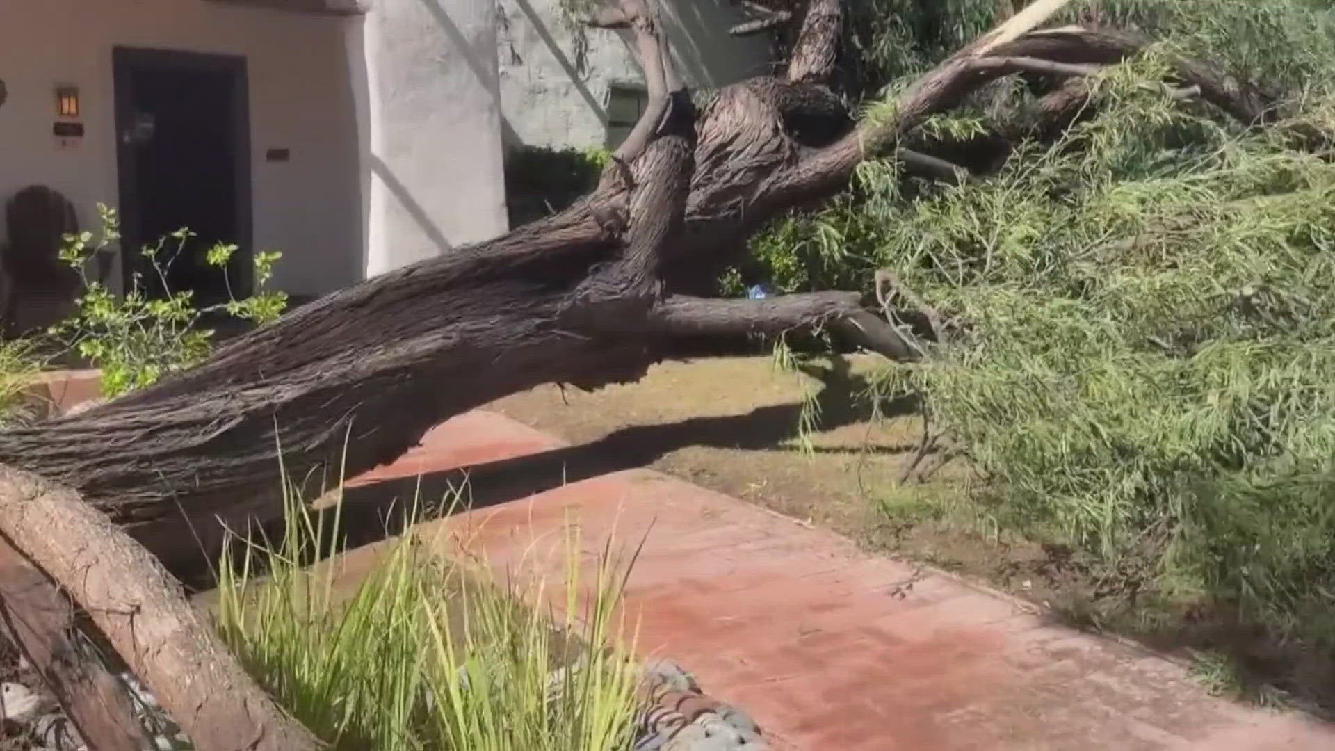 Update on recovery efforts after Tempe microburst | 12news.com
