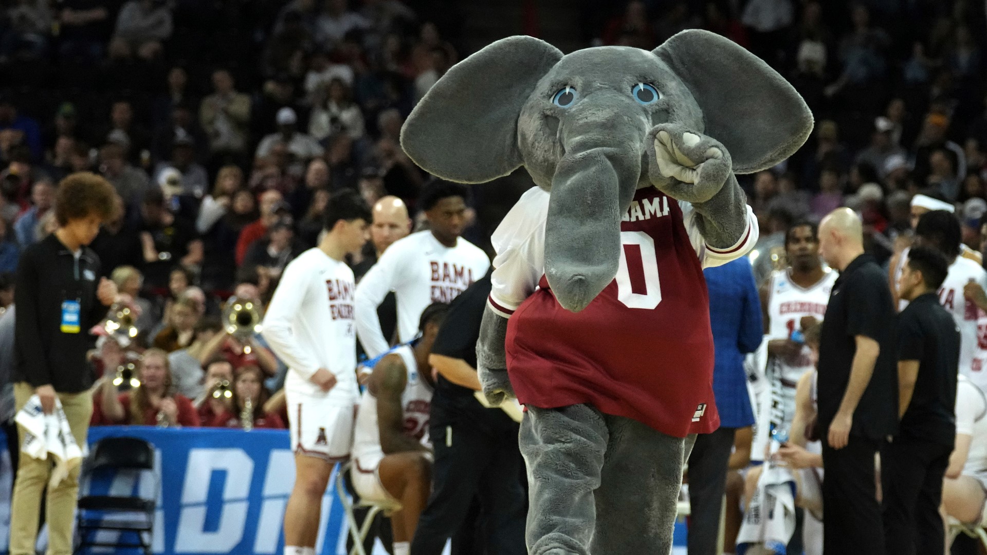 Here's why Alabama has an elephant as their masoct | 12news.com