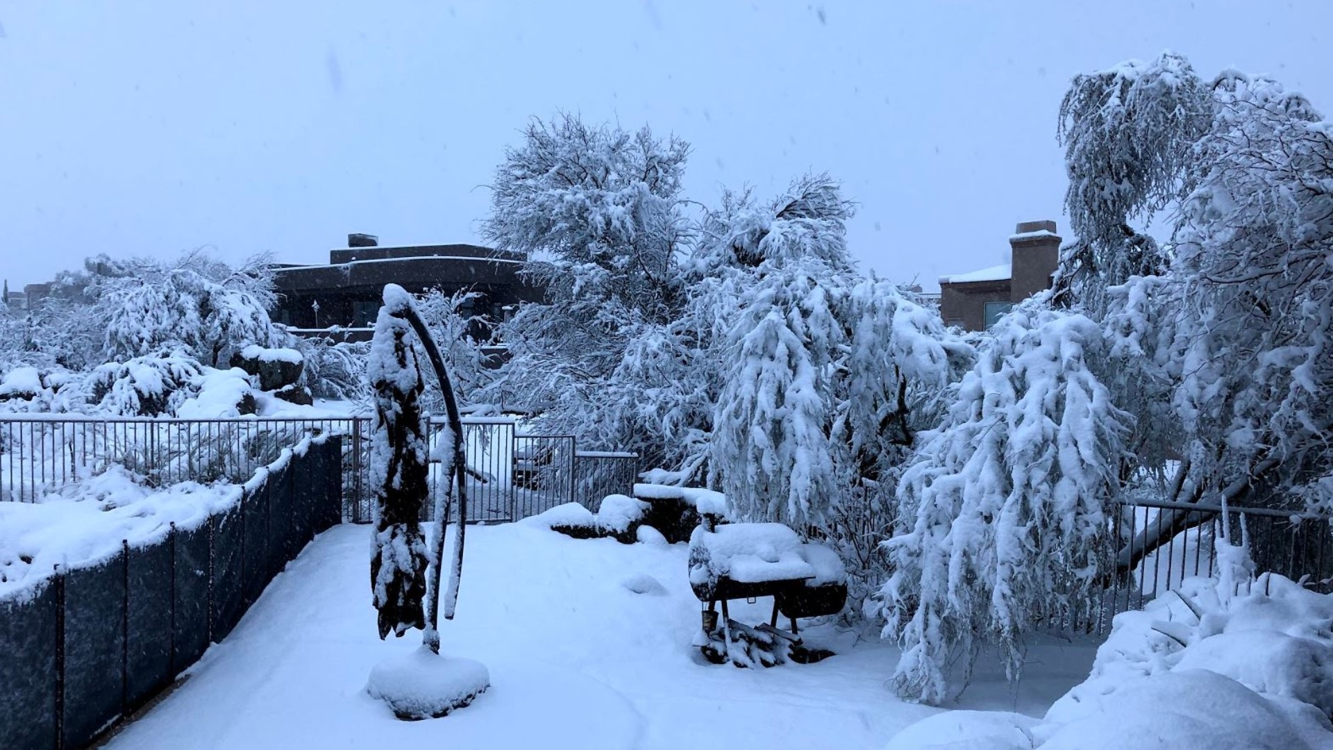 PHOTOS: Arizona's massive winter storm drops snow on Scottsdale ...