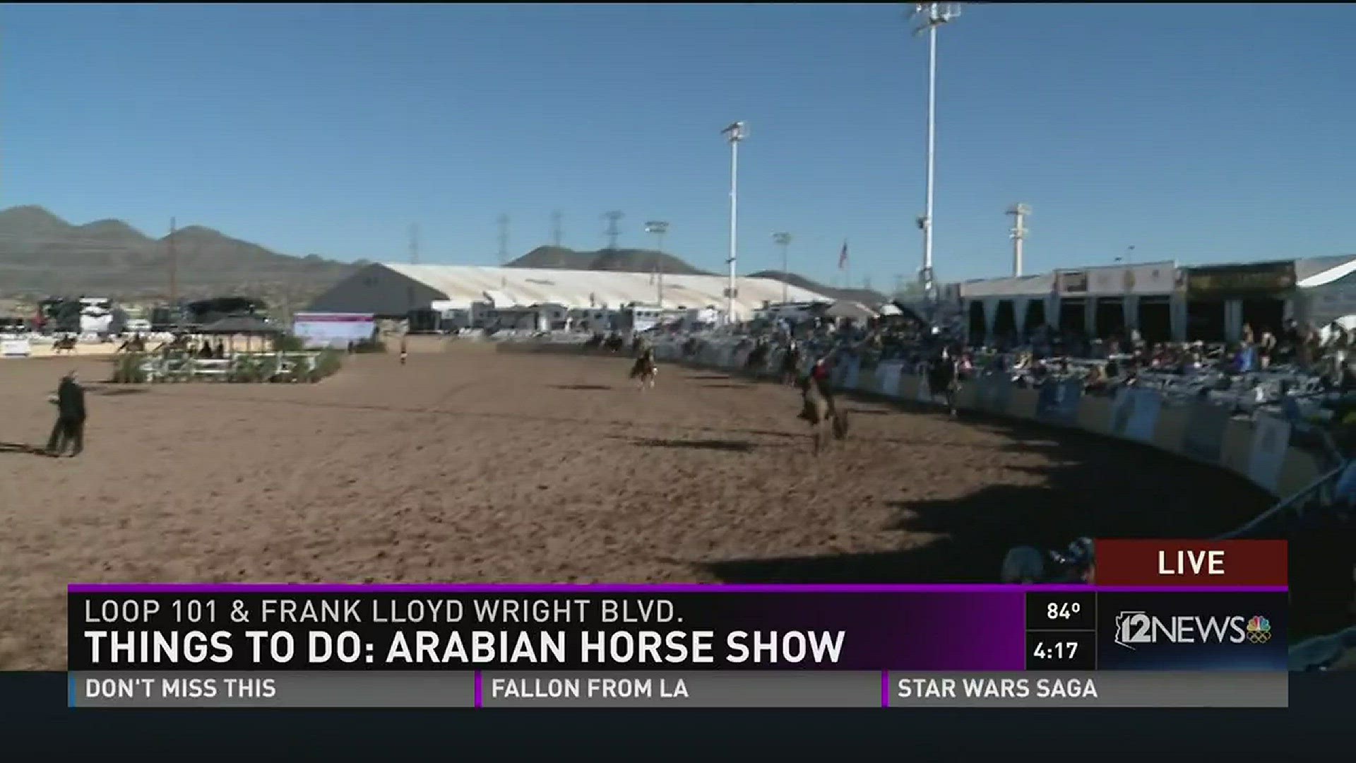 World's largest Arabian horse show in Scottsdale through Sunday ...