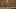 Scottsdale mayor's chief of staff fired over unprofessional behavior ...
