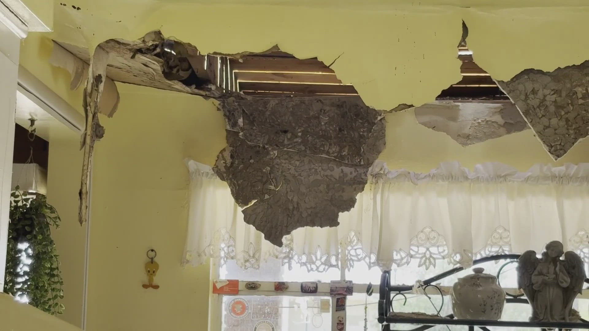 Phoenix woman without a home after powerful storm | 12news.com