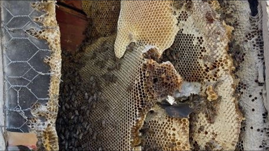 Heat wave coming, will it be to hot in your hives? | Beesource ...